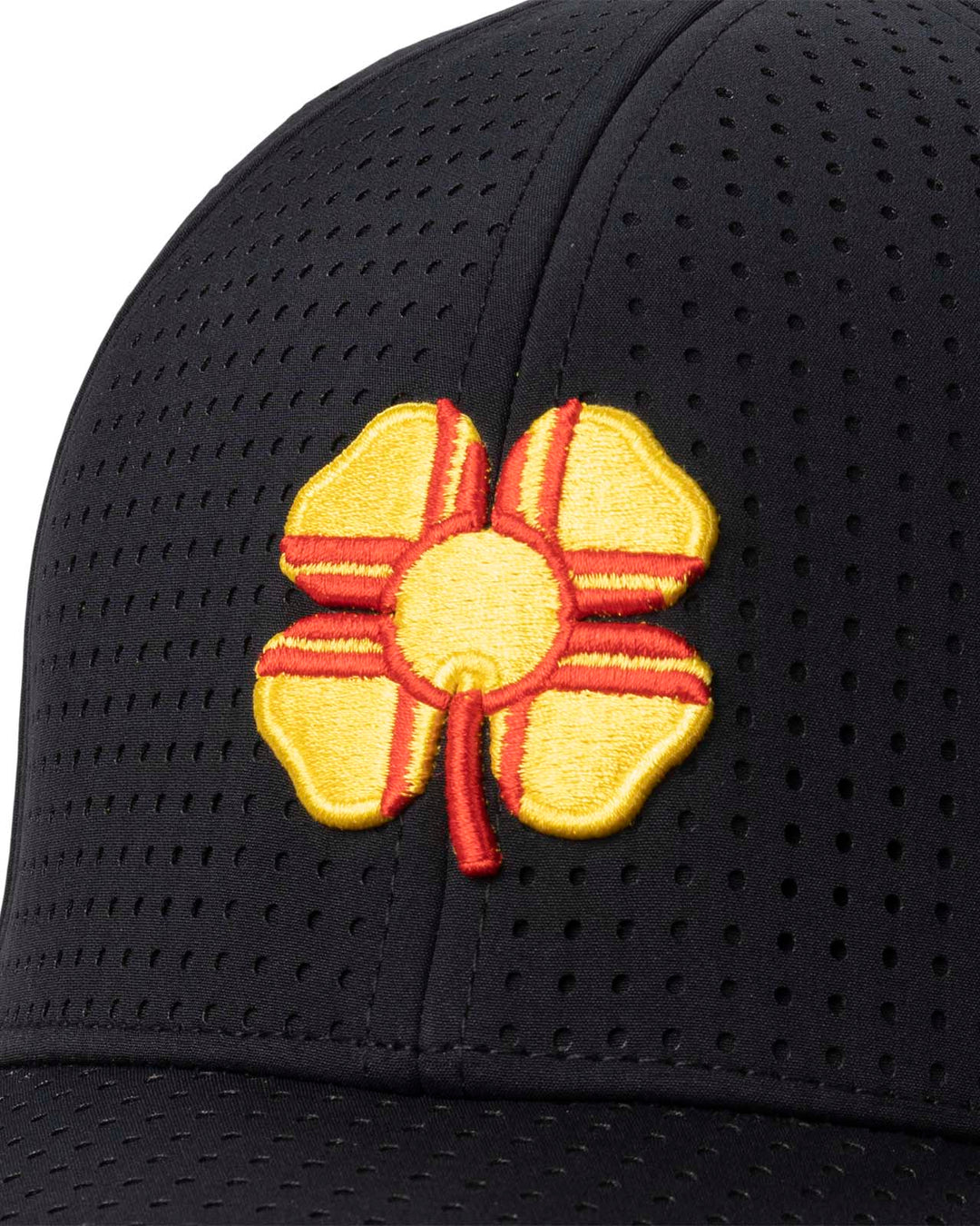New Mexico Perf – Black Clover